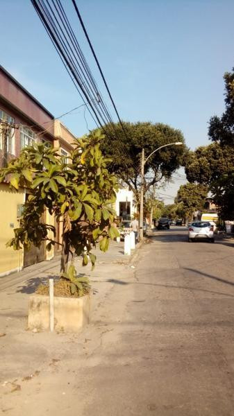 Conheça o bairro Jardim América, Rio de Janeiro - RJ | WebQuarto